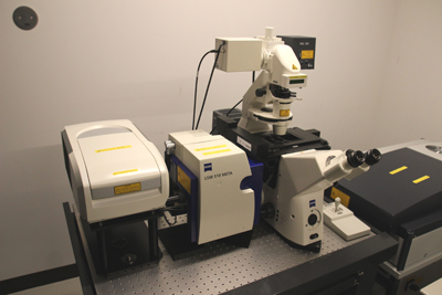 Confocal microscope | OIST Groups